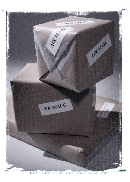 How Can We Make Projects Anti-Fragile?